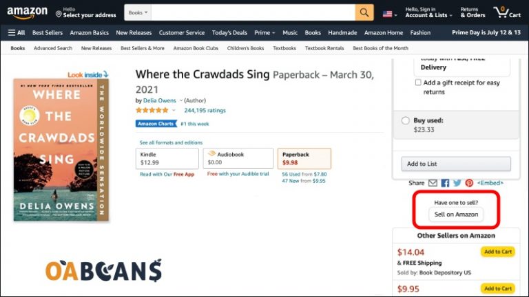 Step-by-Step Guide to Selling Books on Amazon [2025 % Update] – OABeans
